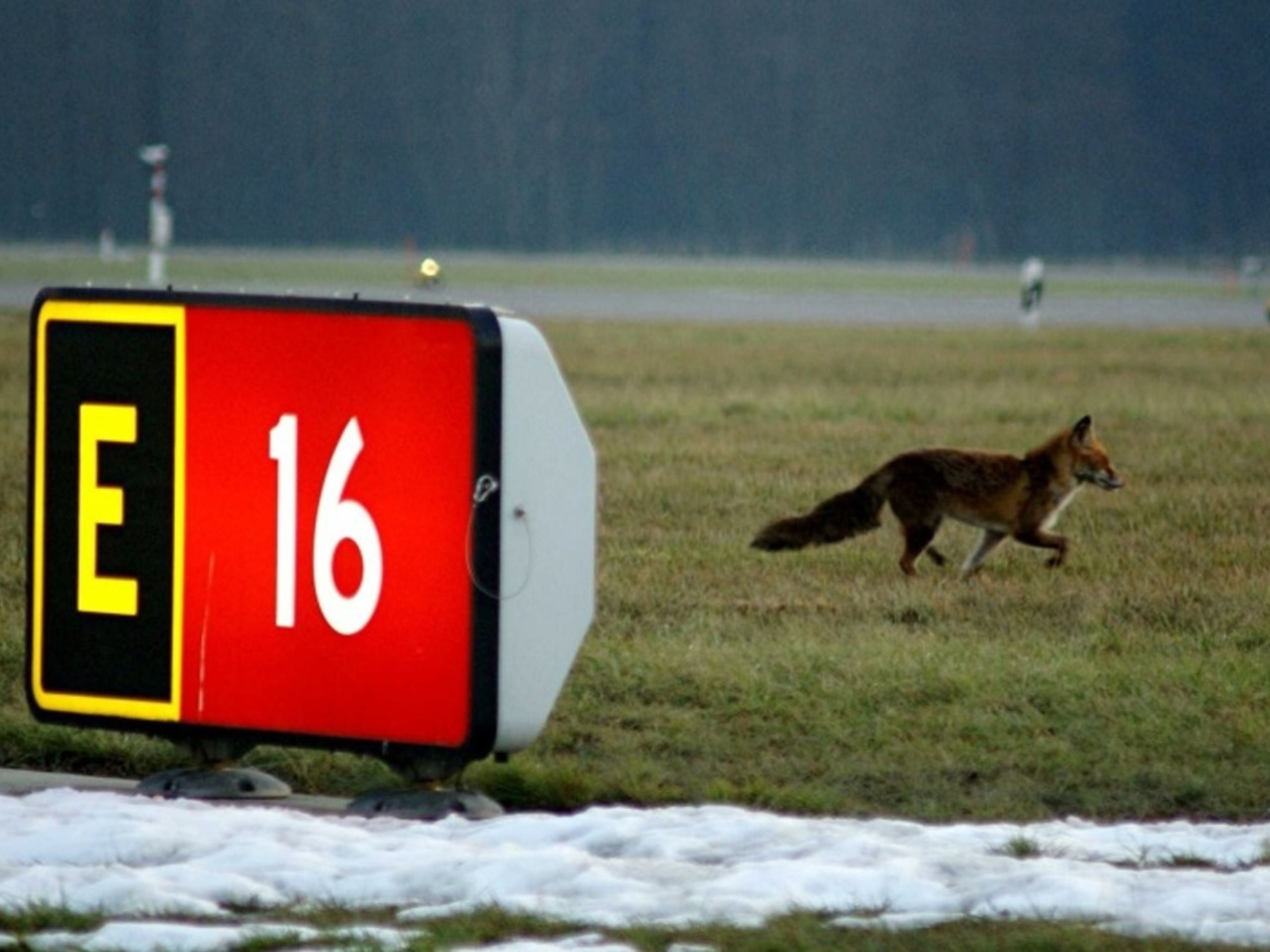 Schon wach? – Flughafen Zuerich
