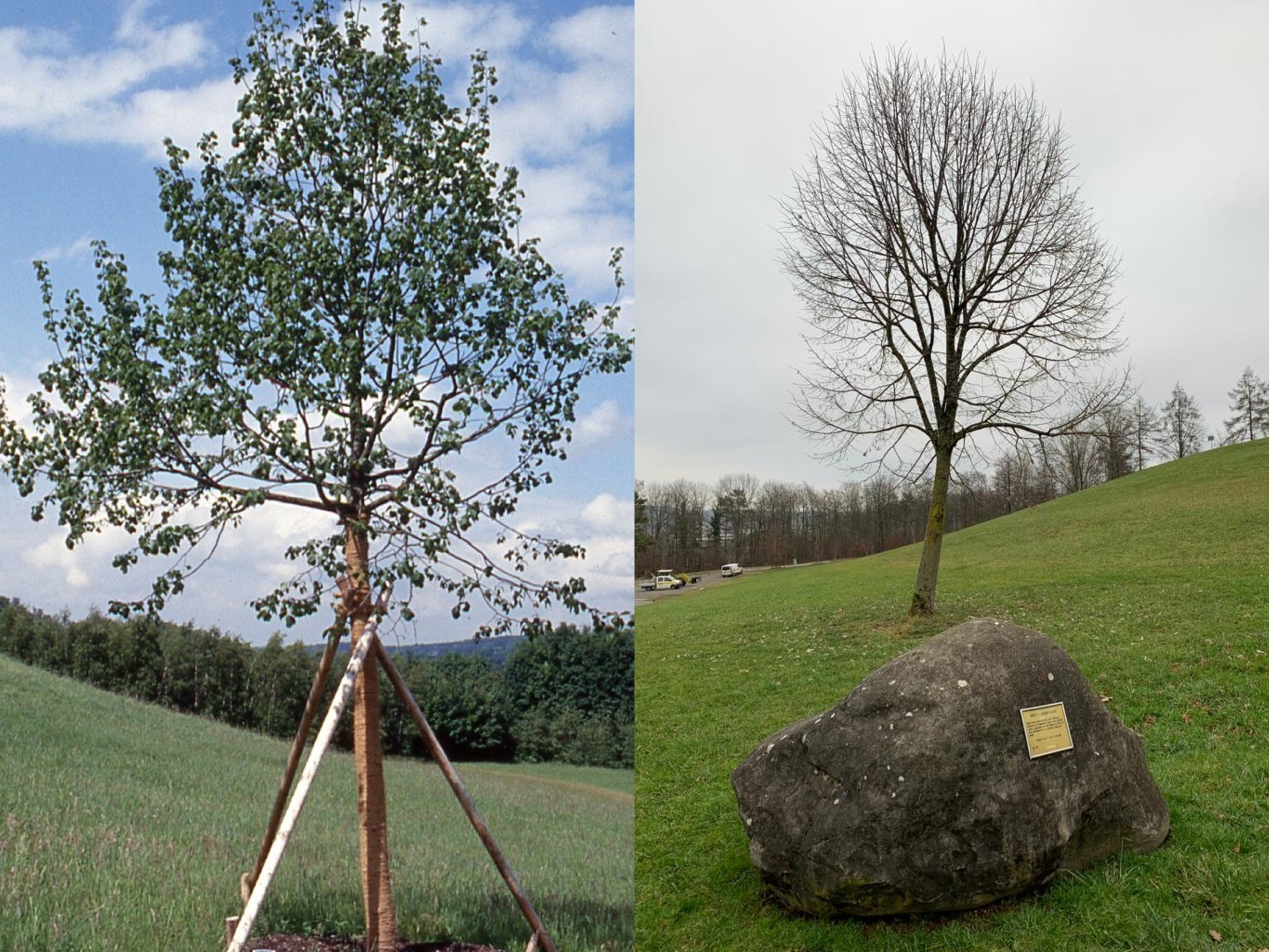 Herr des Grüns – Flughafen Zuerich